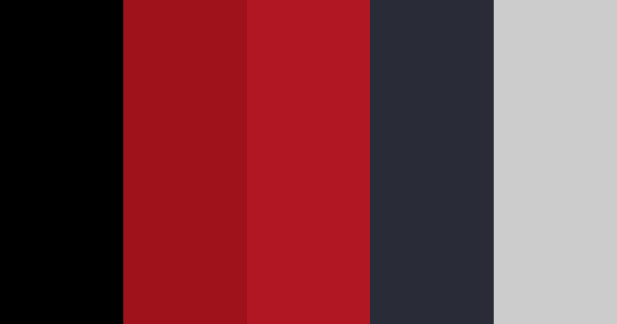 Color Palette: #000000, #9F111B, #B11623, #292C37, #CCCCCC – Colorway