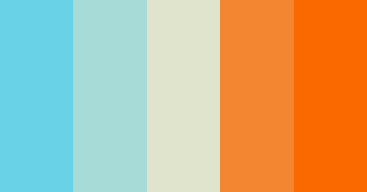 Color Palette: #69D2E7, #A7DBD8, #E0E4CC, #F38630, #FA6900 – Colorway